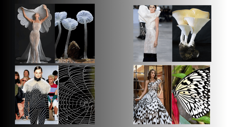 21 Creative Fashion Show Themes for Memorable Events - Style Weekender