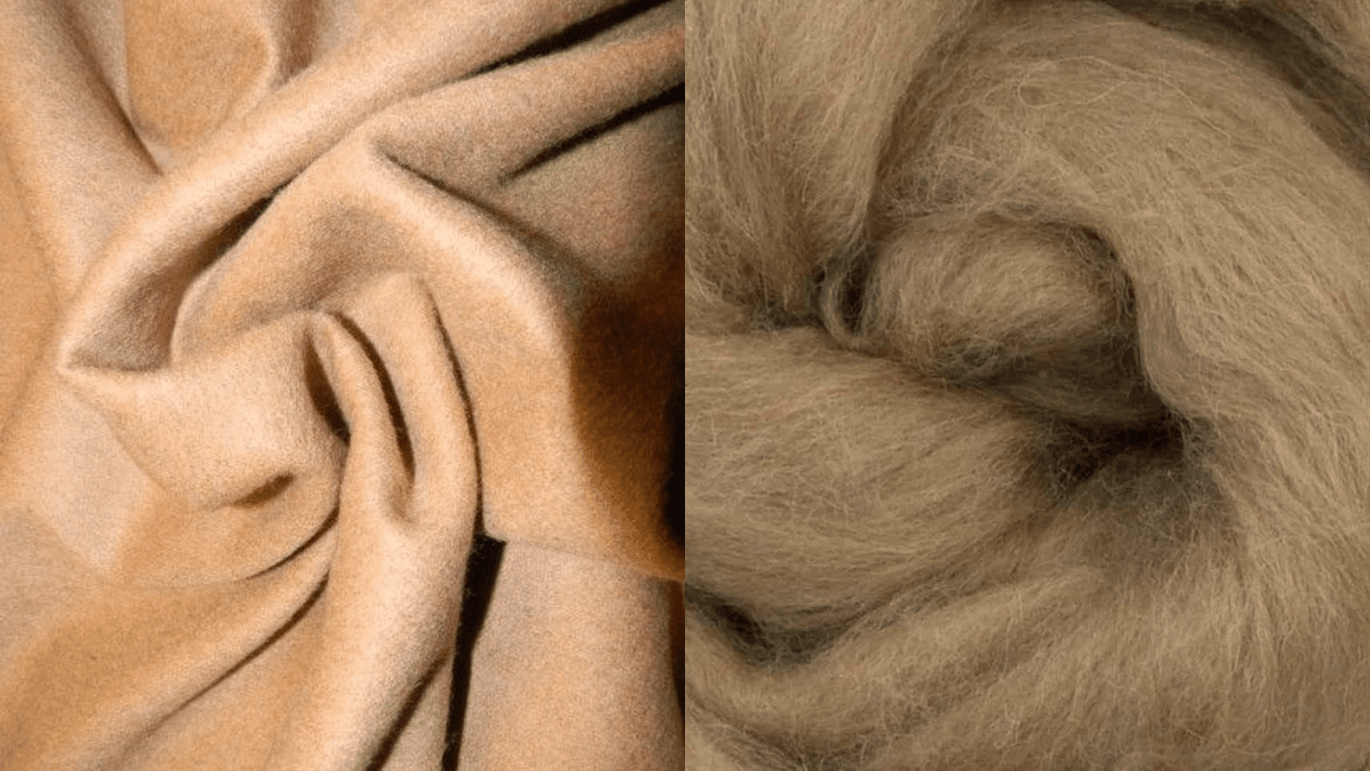 21 Types of Wool Every Buyer Needs - Style Weekender